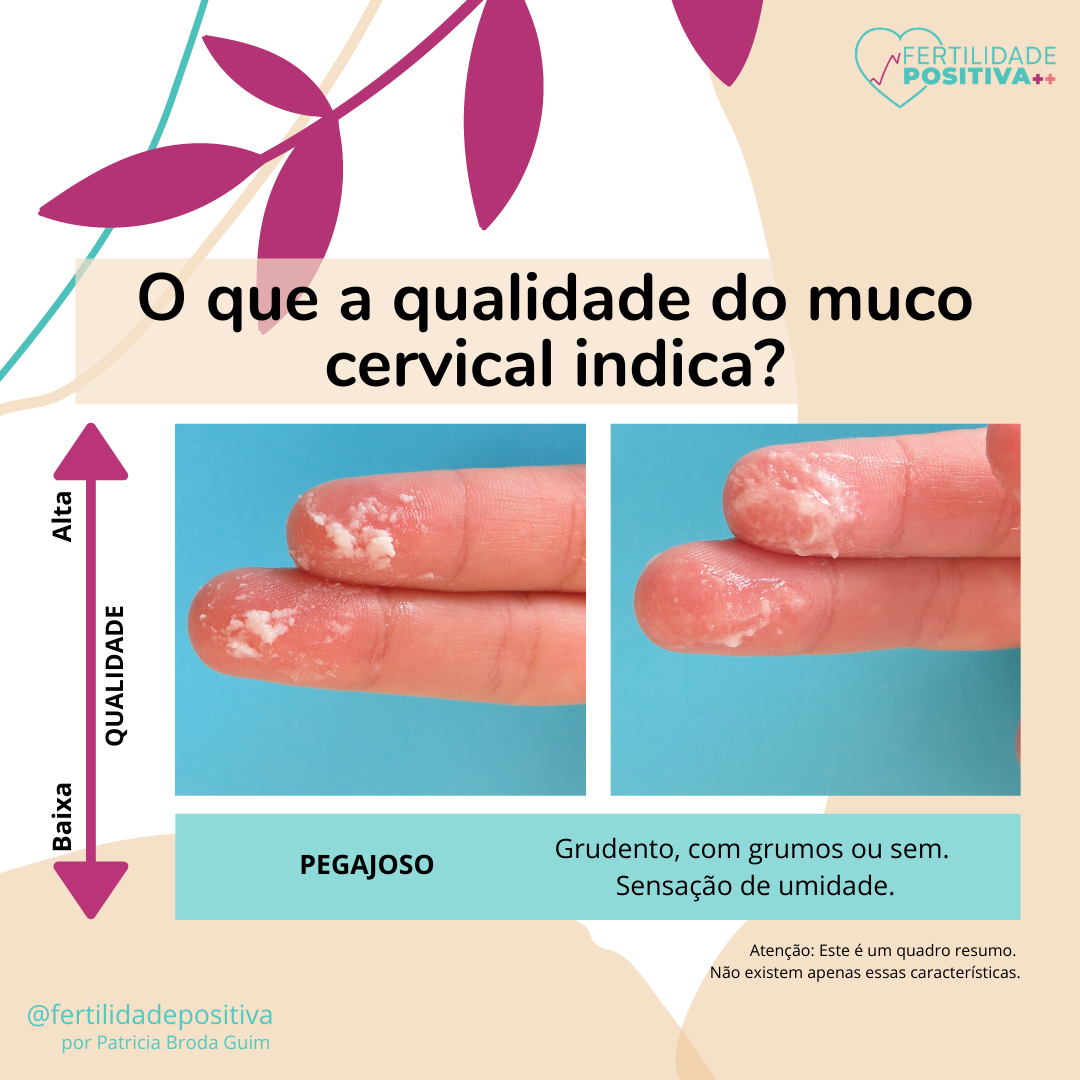 Entendendo o Muco Cervical – Fertilidade Positiva