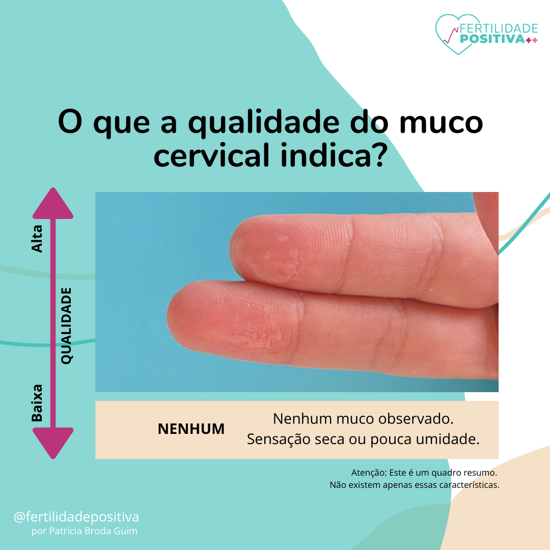 Entendendo o Muco Cervical – Fertilidade Positiva