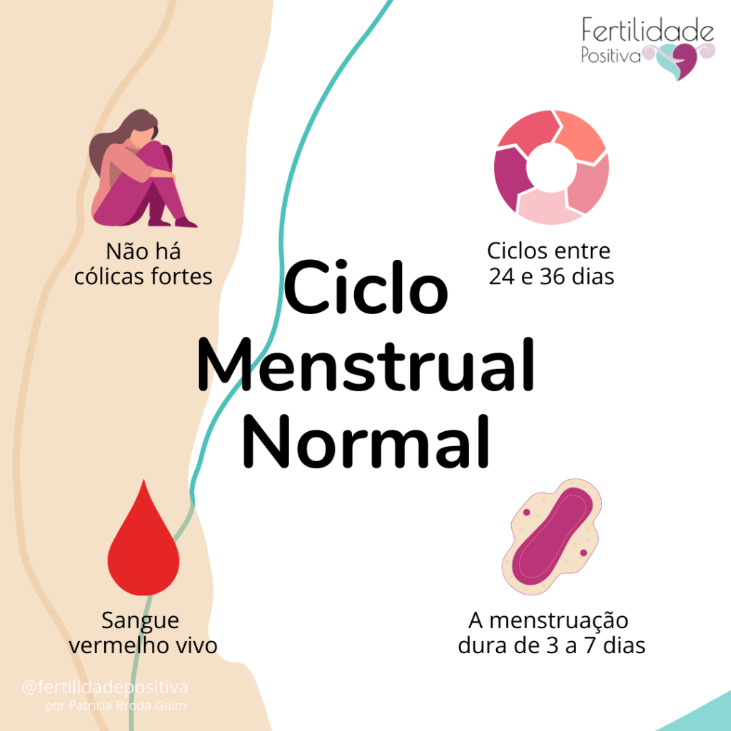Ciclo Menstrual Normal – Fertilidade Positiva