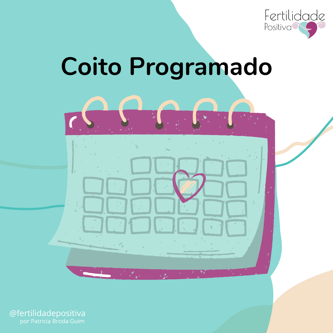 Coito Programado – Fertilidade Positiva